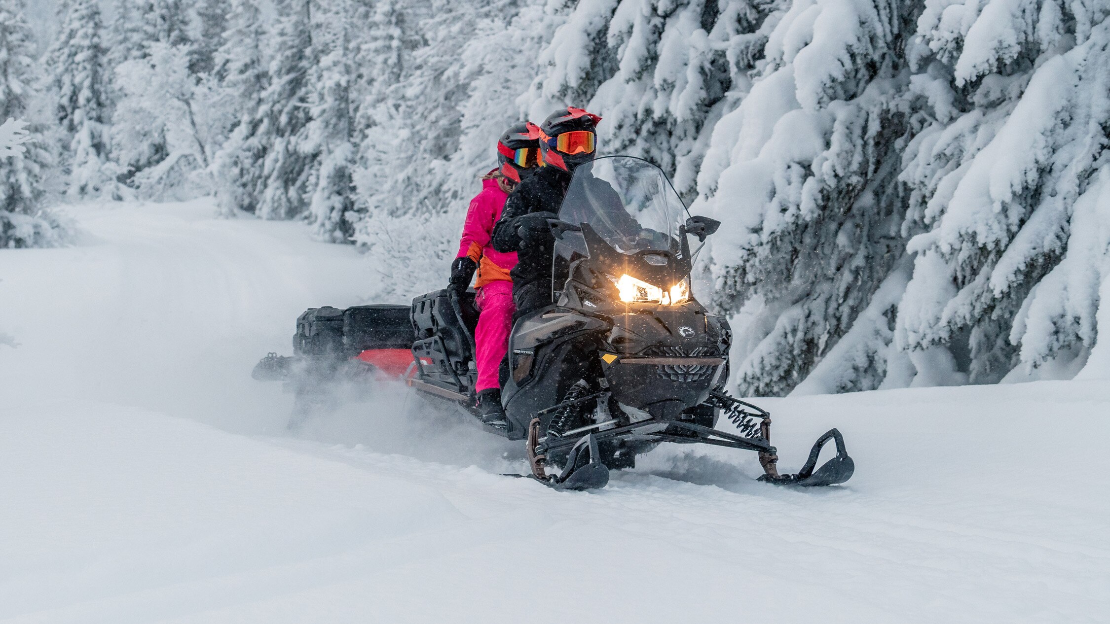 2023 49 Ranger Light Utility Snowmobiles - Lynx
